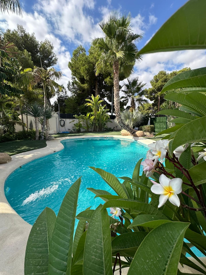 Villa Mulet Exotic Pool 8 Pax - Alicante