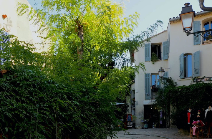 Le Murier Bleu, Appartement De Charme Au Castellet - Le Beausset