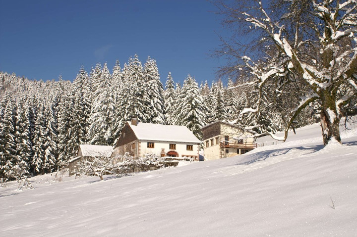 Blanche-roche, Gîte En Lisière De Fôret - Vosges