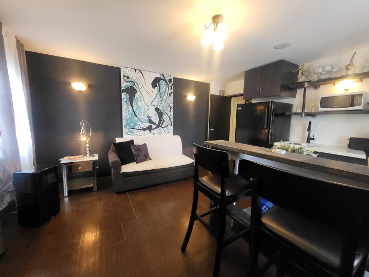 1 Bed Apt Downtown. Walking Distance To Beach - Barrie