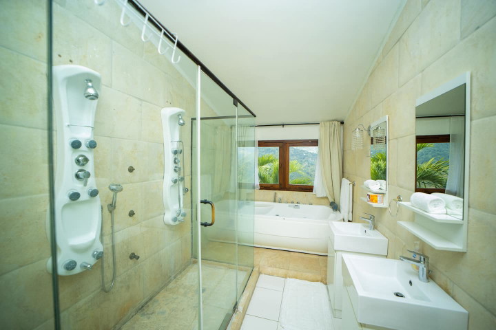 4br, 3 Bth With Jacuzzi & Private Back Yard - Kingston