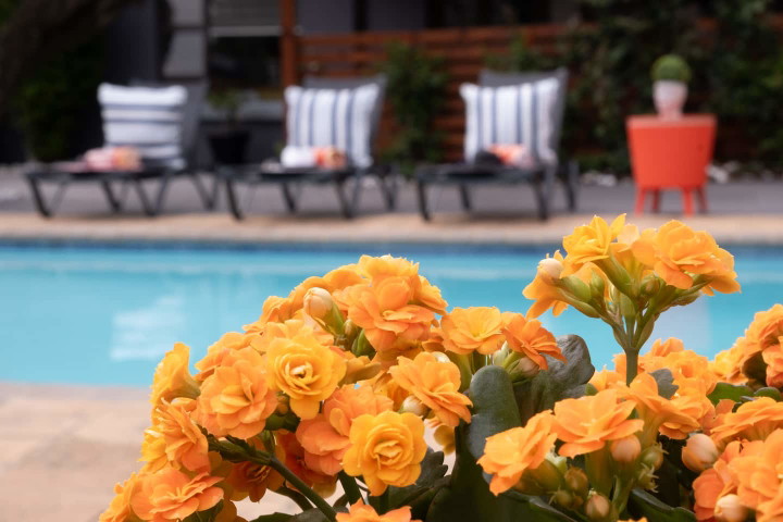 The Hemingway House 15 Min From Tambo Airport - Benoni