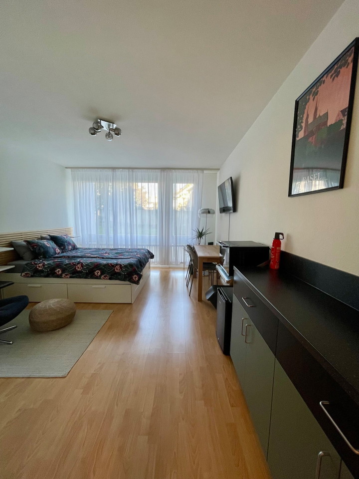 Cozy Studio Apartment In Center - Basel