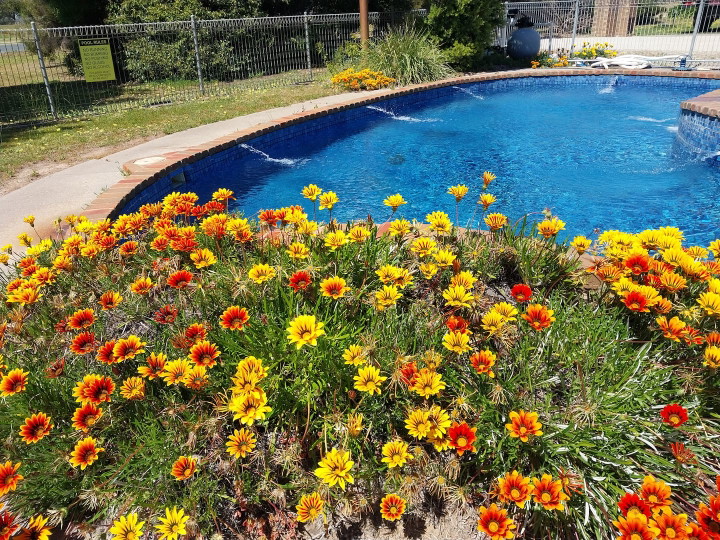 Quite Motel Close To Town - Rutherglen