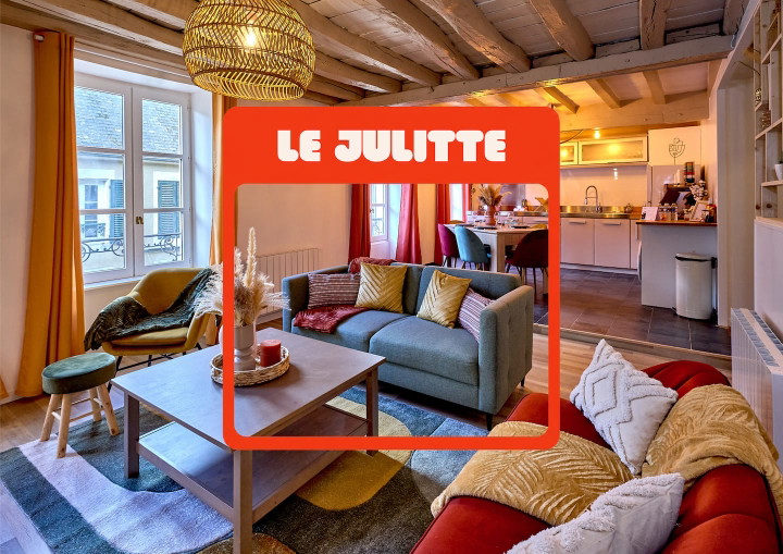 *Le Julitte* En Hyper Centre Ville - Nièvre