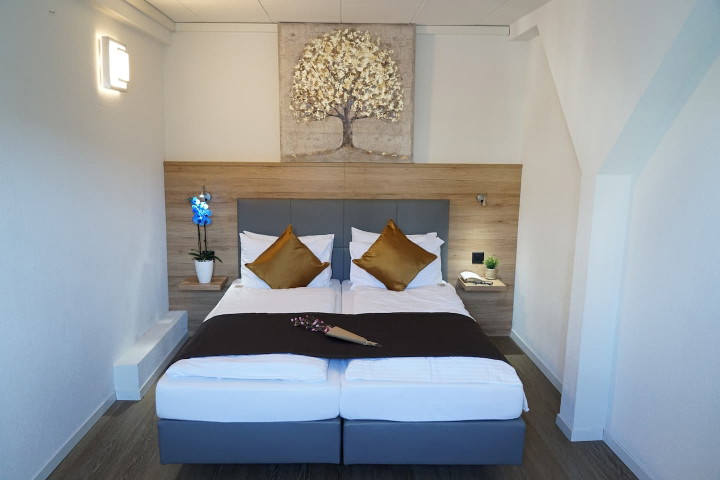 Famille-confort-sdb Privée-vue Ville - Winterthur