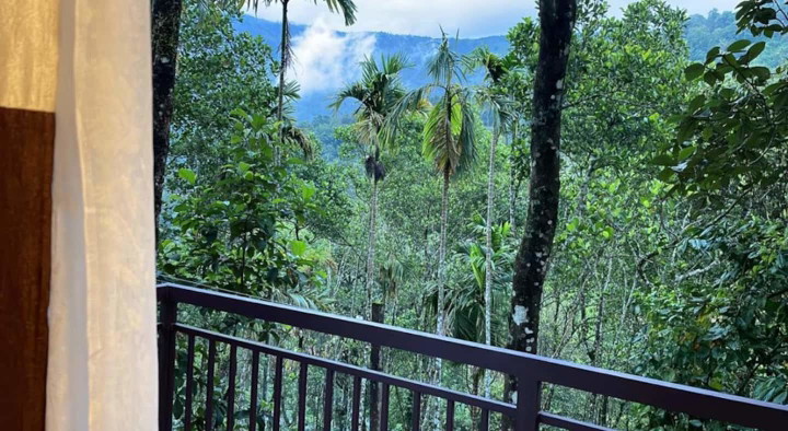 My Sweet Nature Homes Munnar - Munnar