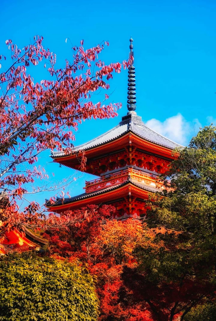 清水紫翠庵 清水寺三年坂すぐ八坂神社祇園高台寺徒歩圏・マッサージチェア床暖房洗濯乾燥機完備 - Gion