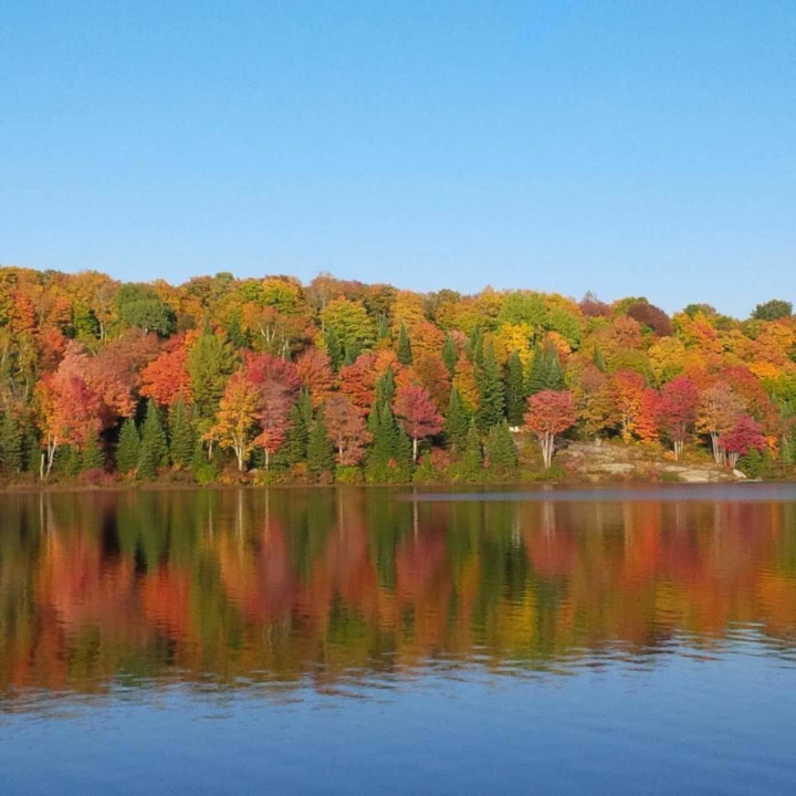 Cozy Cottage On *Semi-private Lake* ~ The Rosie ~ - Huntsville