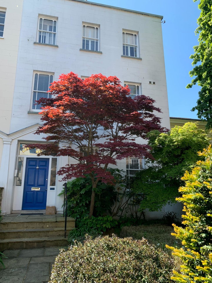 Central St Helier Apartment - Jersey