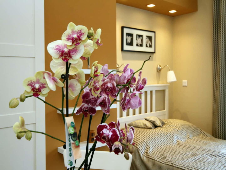 Ac Apt | Thermal Bath 5 Min | City Centre 10 Min - Eger