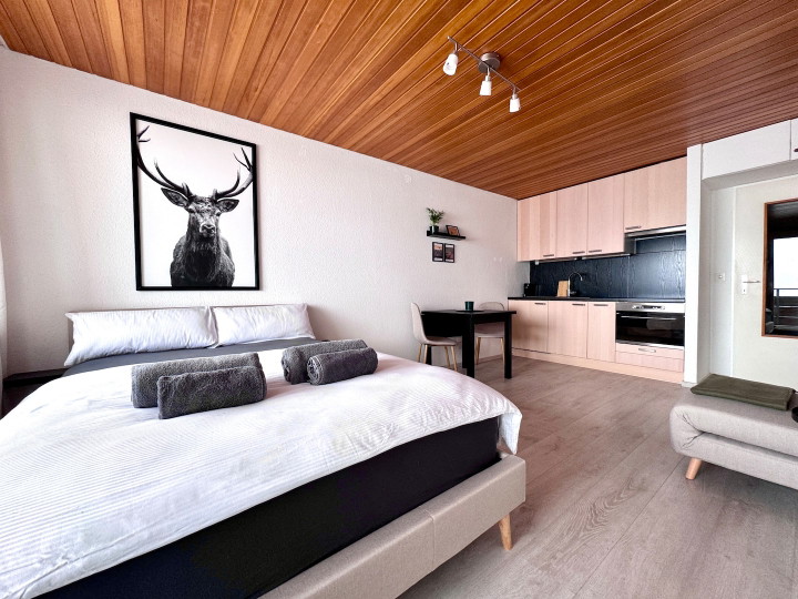 Studio With Lake And Mountain Views - Laax