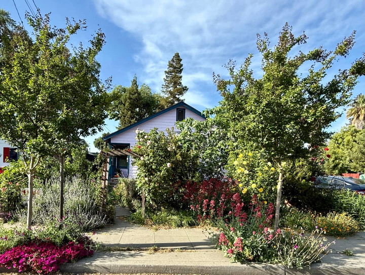 Comfy Eco Paradise & Gardens In Historic District - Woodland, CA
