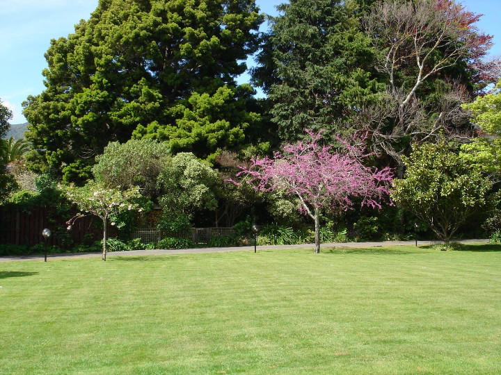 Boutique Loft Waikanae - Waikanae
