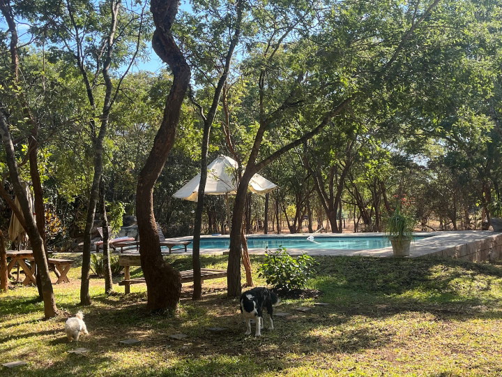 Spacious One Bedroomed Cottage - Zambia