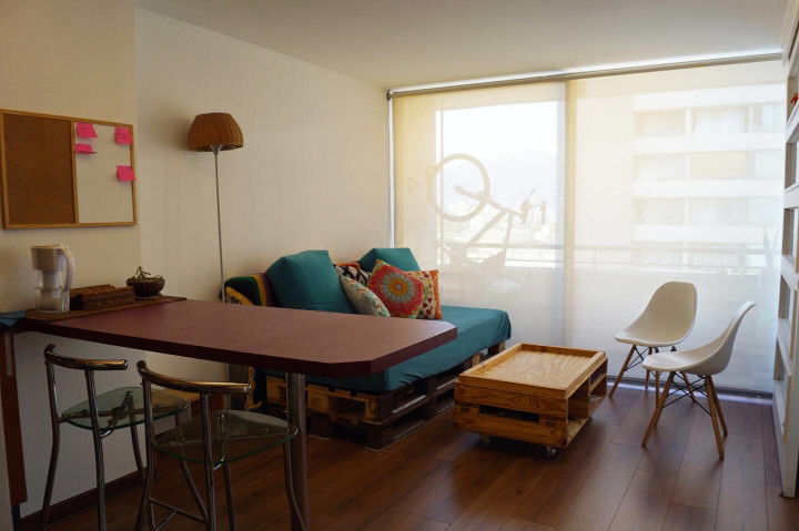 Apartment In Front Of Forest Park - Chile