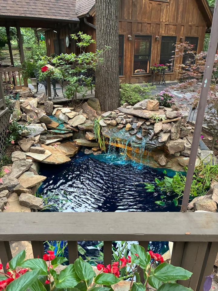 Judy's Cabin In The Woods - Fayetteville, AR