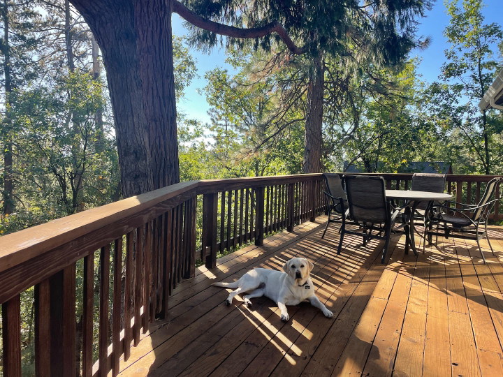 *An Acre Of Nature* Central A/c, Close To Lakes - Murphys, CA
