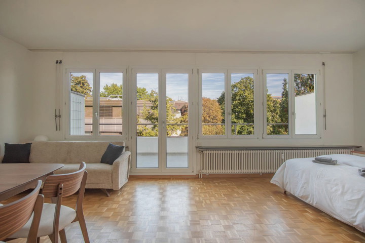 Appartement Au Dernier éTage Avec Deux Terrasses Et Baselcard - Bâle