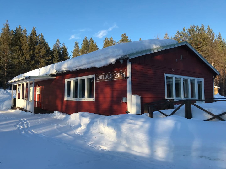 Skog Och Fjäll Vid Insjön Vaikijaur, Jokkmokk. - Jokkmokk