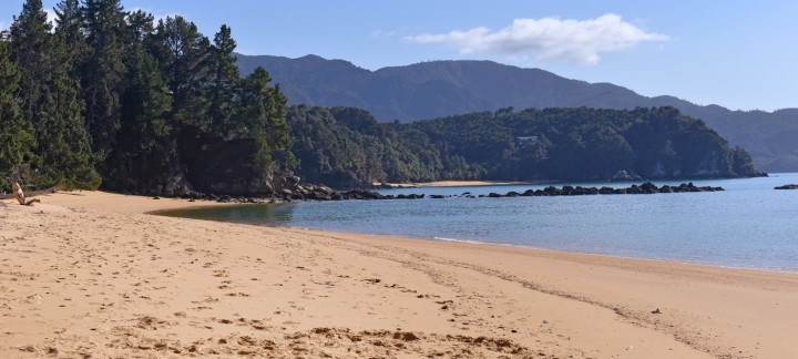 Ngaio Beach House - Kaiteriteri - Kaiteriteri