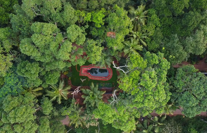 The Grove | Tropical Retreat With Natural Pool - Thiruvananthapuram
