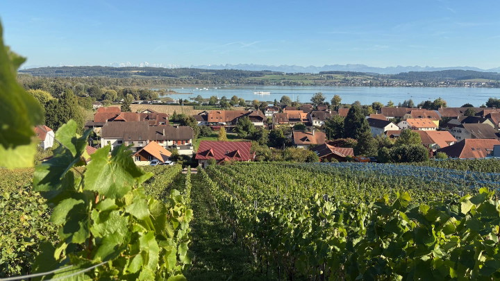 Charmantes Studio In Sugiez - Murten