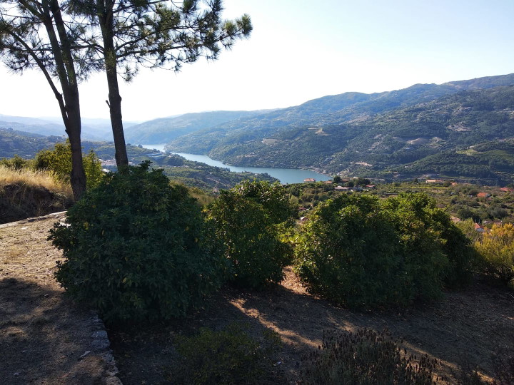 Paradise Hills: Tranquility In The Douro Valley - Viseu District