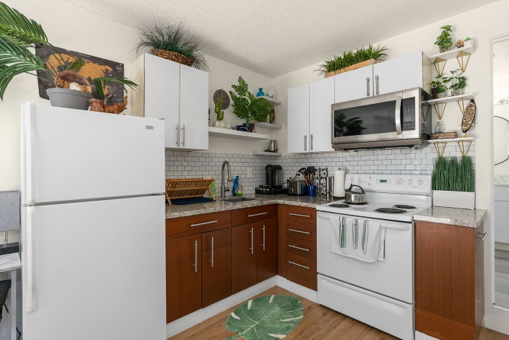 Jungle Oasis Retreat - Puyallup, WA