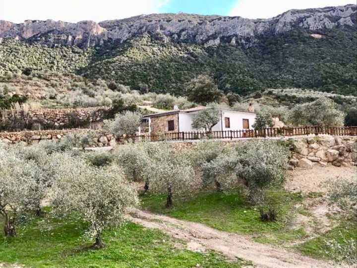 Villa Surrounded By Greenery. Relaxation Area And Bbq - Dorgali