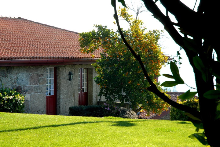 Quinta De Cima De Eiriz (Wine Estate) - Guimaraes