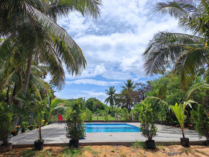 Green Oasis In The City - Cambodia