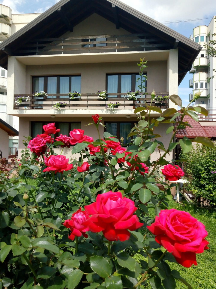 Oaza U Centru Ilidže/oasis In The Center Of Ilidža - Sarajevo