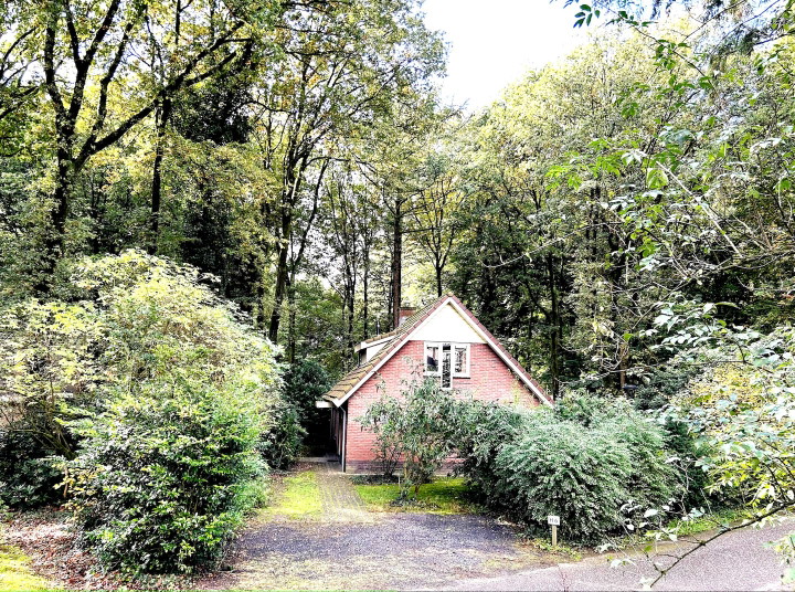 Vrijstaande Boswoning Op Kleinschalig Park - Barneveld