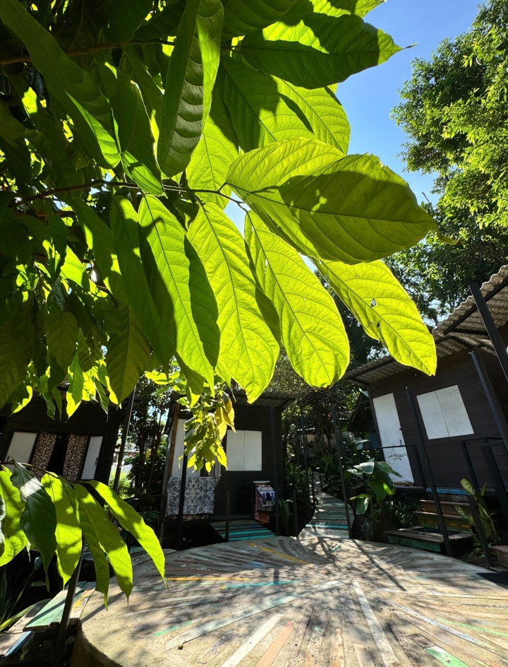 Camping Chalé 5 - Ilha Grande - Ilha Grande