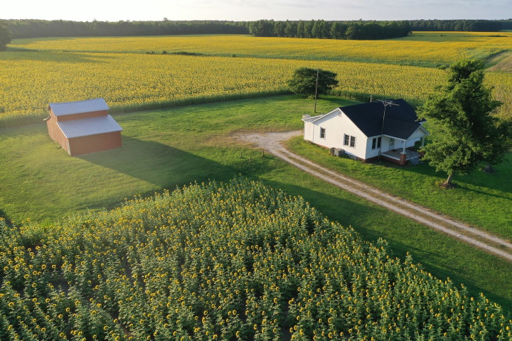 Radiant Rest Farmhouse - Murfreesboro, NC