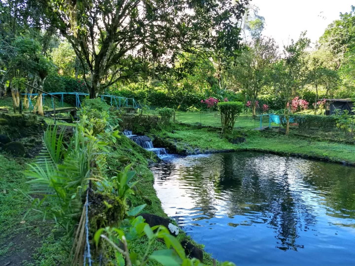 Casa Tata. Jardins Magnifiques Et Observation Des Oiseaux. - Costa Rica