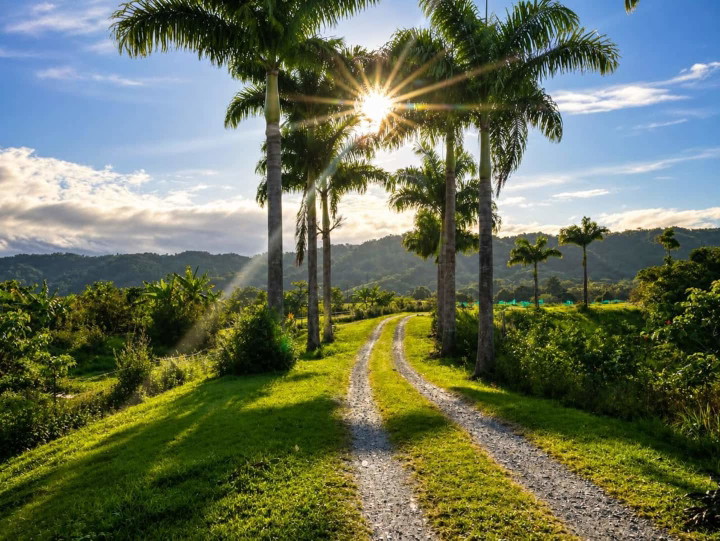 Daintree Rainforest Retreat | Creek & Waterfall - Daintree