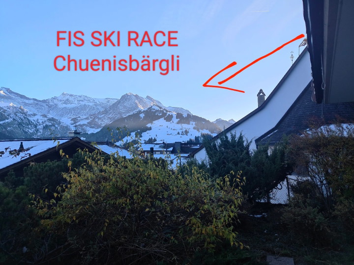 Assister à Une Course De Ski Depuis La Terrasse - Adelboden