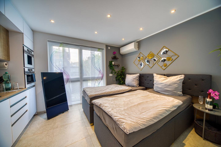Villa Harmonie Ng 1-room Apartment Smart Tv Shower - Dresden