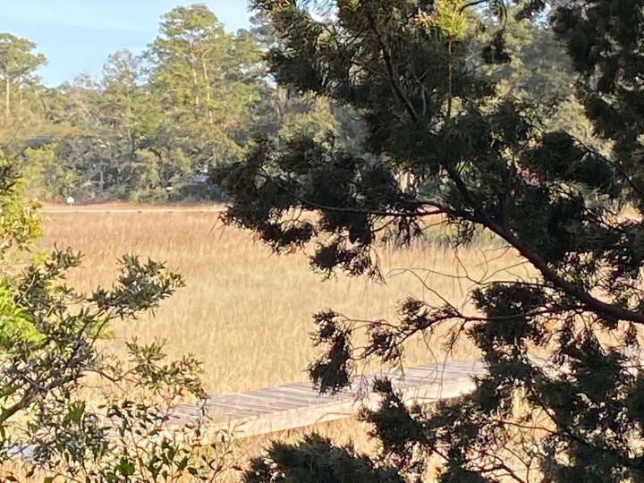 Serene Marsh Front Bungalow | Private Deck - Wilmington Island, GA