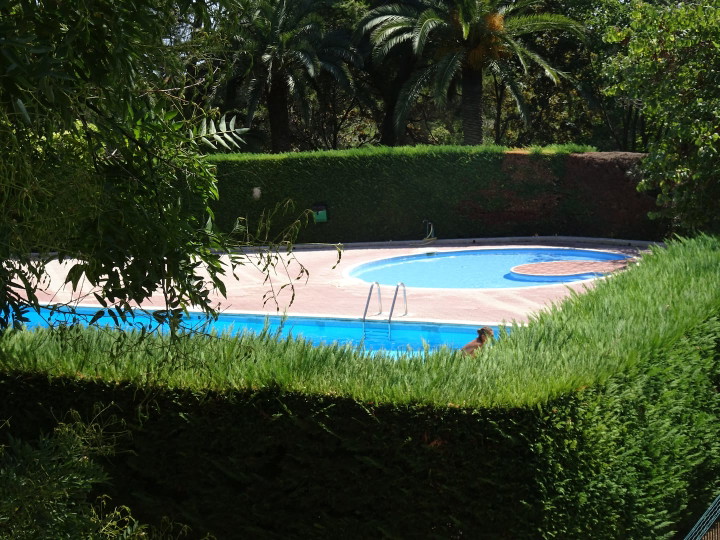 Appartement 3p Dans Grand Parc Arboré Avec Piscine - Antibes