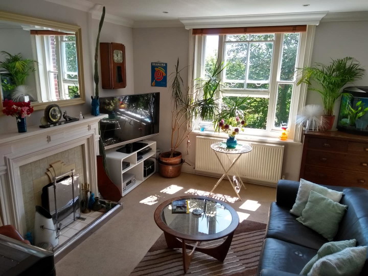 Stunning Retro Apartment For Up To 3 People - Sussex