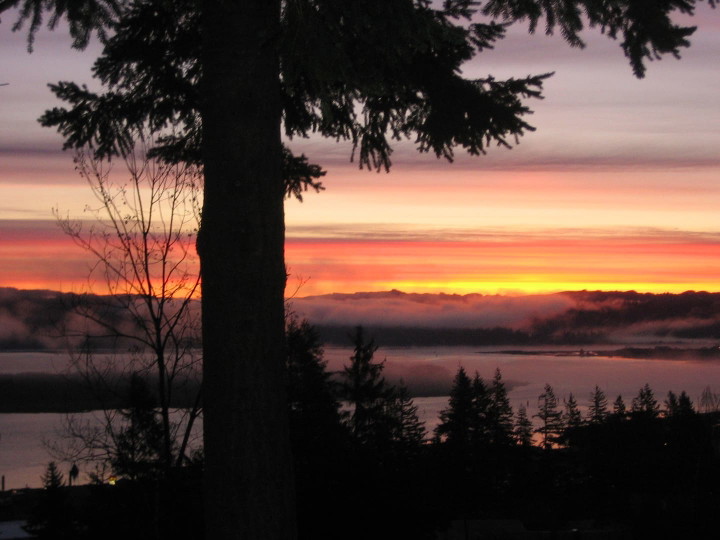Panoramic Views Throughout, In Town, With Laundry - Coos Bay, OR