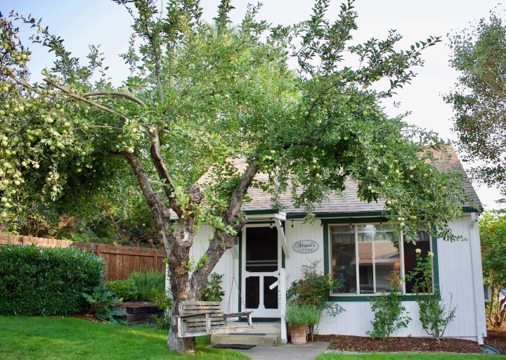 Walk Into Downtown Ashland And The Osf Theatre From Abigail's Vacation Cottage. - Ashland, OR