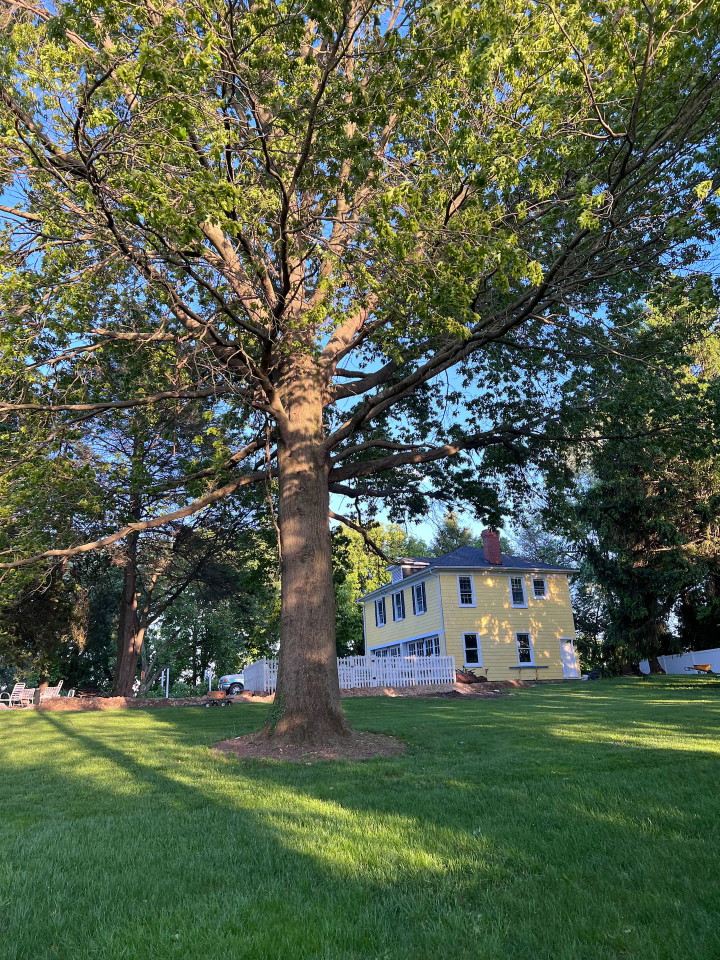 Quiet, Peaceful Setting (Suite 1) - Frederick, MD