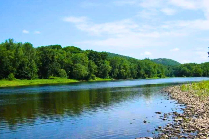 Rare River Views & Access, Cabin By Eden Islands - Port Jervis, NY
