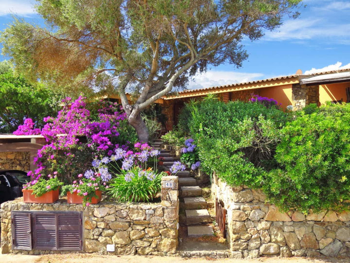 Villino Federico, In A Fantastic Green Resort - Palau