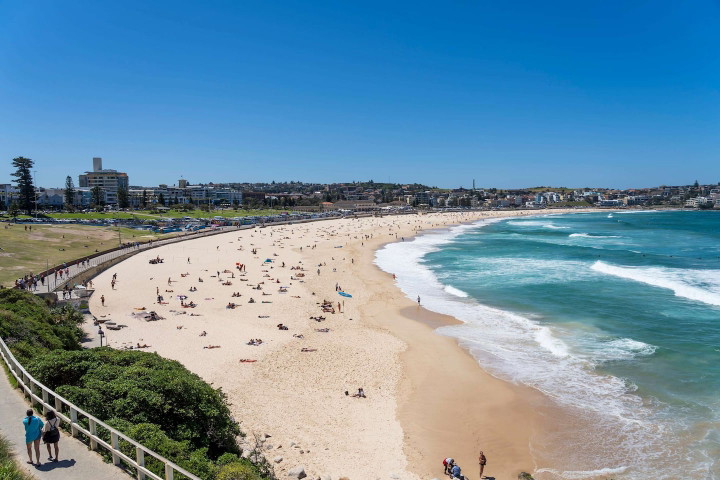 Cosy Curlewis - Walk To Beach - New Listing - Bondi Beach