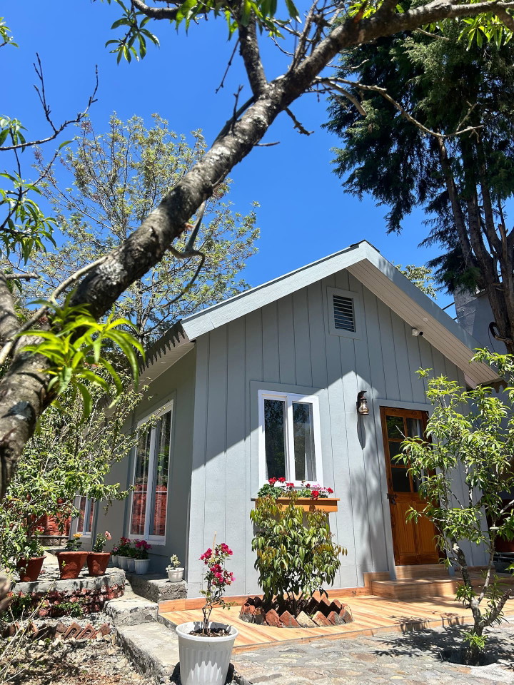 Wellness Forest Stay Near Kainchi Dham & Nainital - Nainital